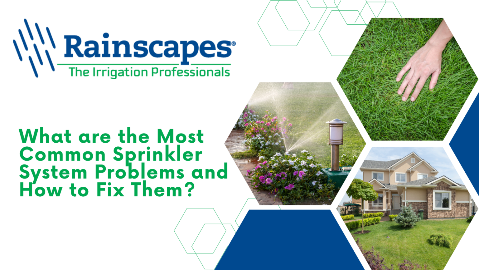 Sprinkler System Issues & Solutions | Rainscapes
