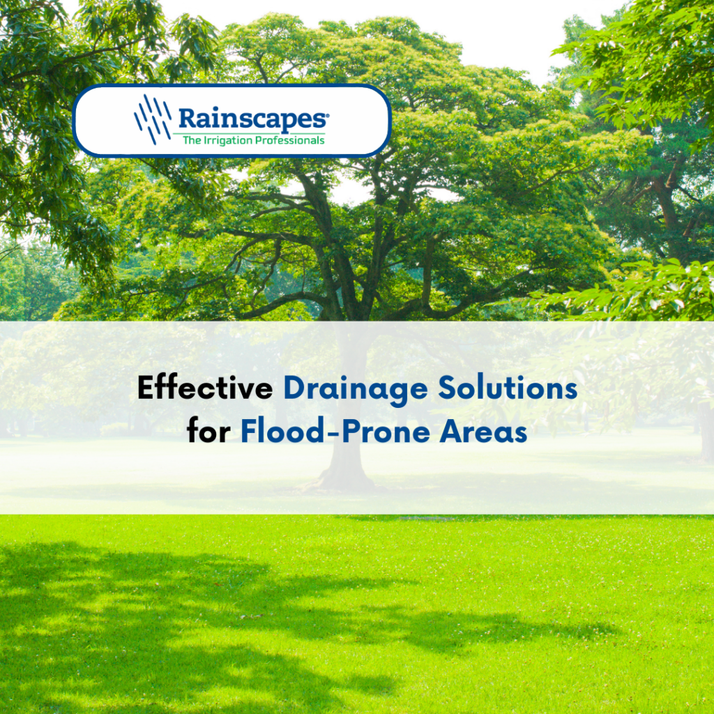 Effective Drainage Solutions for Flood-Prone Areas | Rainscapes