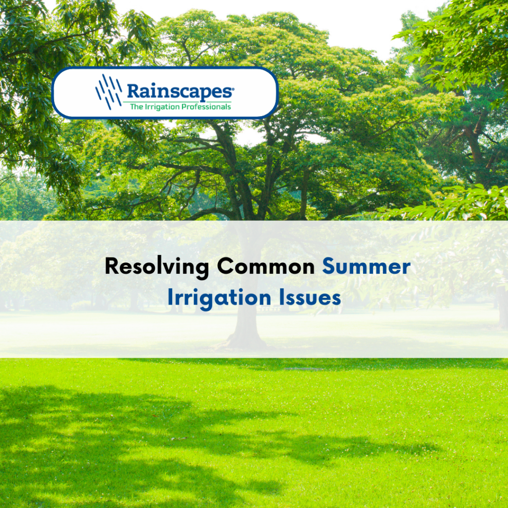 Resolving Common Summer Irrigation Issues | Rainscapes