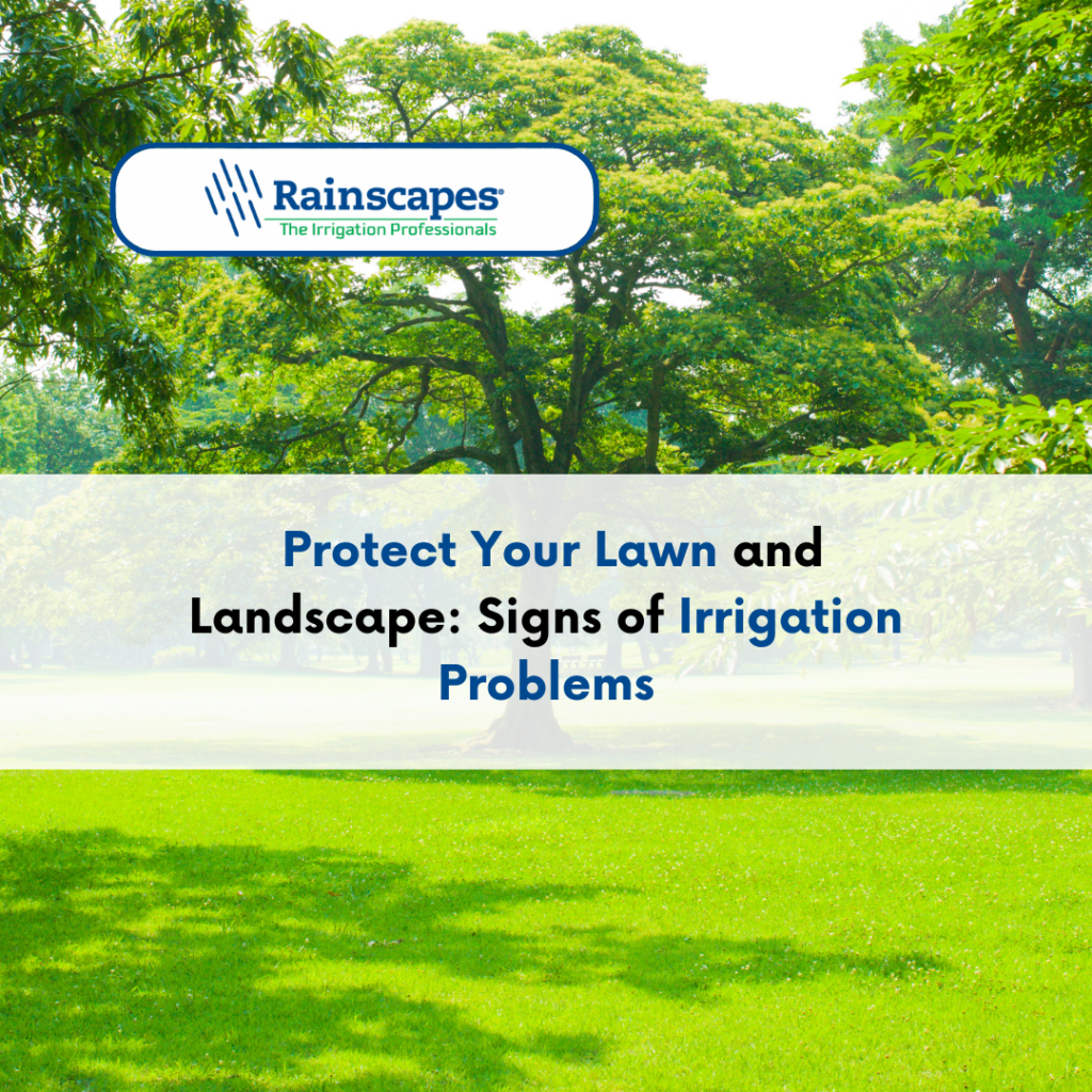 Signs Your Irrigation System Needs Immediate Repair | Rainscapes