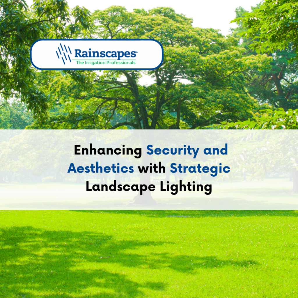 Create a Safe Outdoor Space: Landscape Lighting | Rainscapes